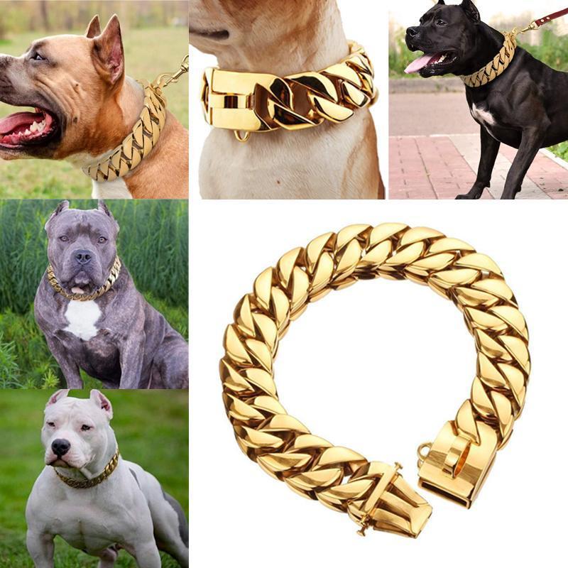 Stainless Steel Dog Chain Collar – kiwient
